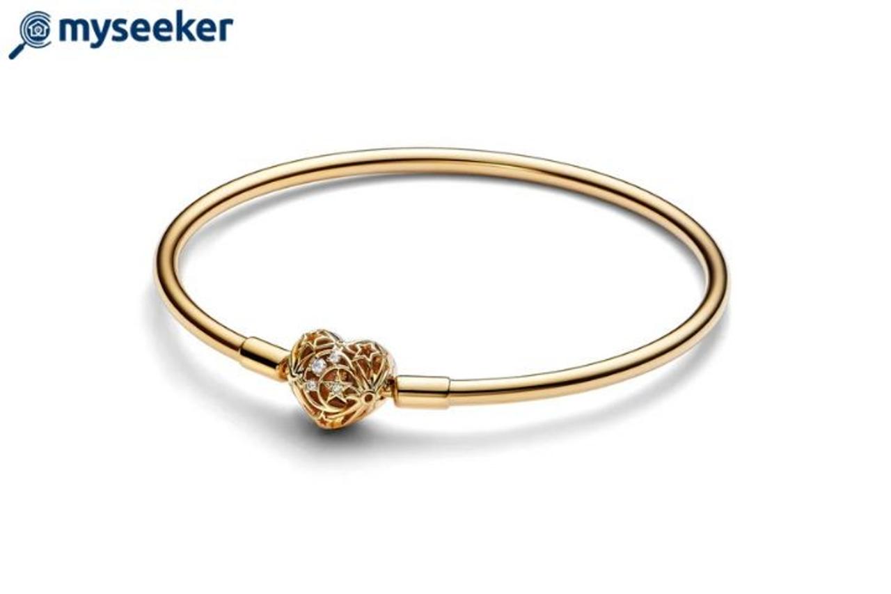 Pandora bangle and two-tone charm. | Powered by Givergy